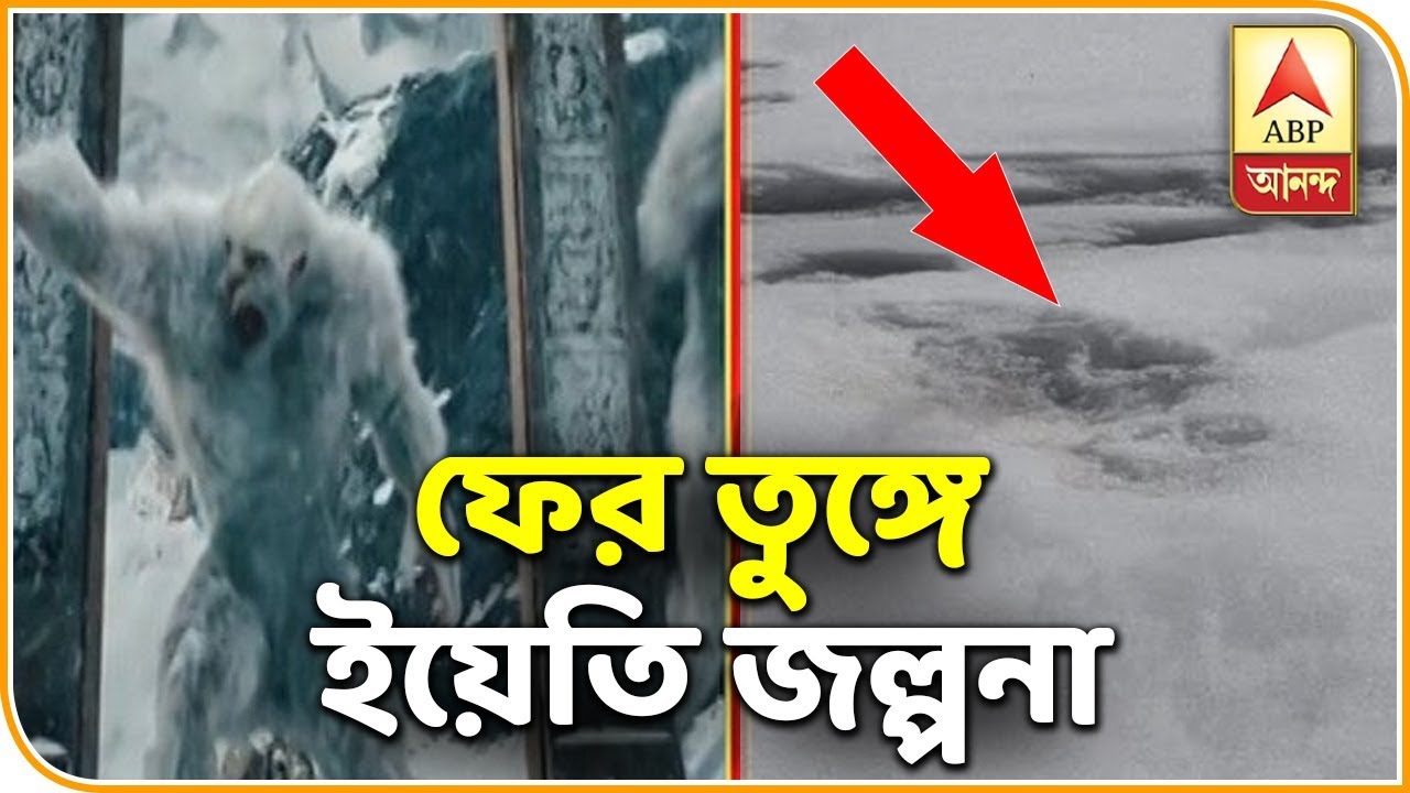 'Yeti' spotted in the Himalayas? Indian Army shares pictures | ABP ...