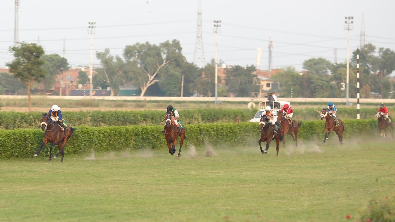 2nd Race A Term Cup Race For 2 years Distance 900 Meters Winner Coach ...