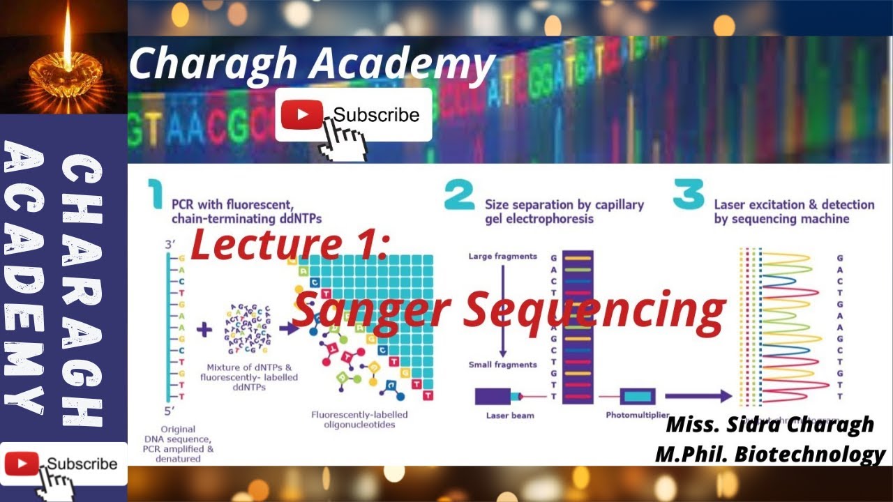 DNA Sequencing || Sanger Sequencing Lecture 1 - YouTube