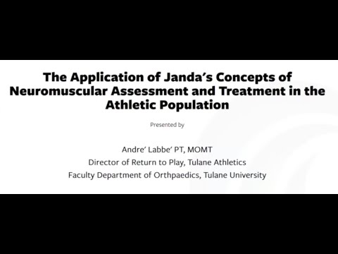 Application of Janda's Concepts of Neuromuscular Assessment Treatment ...