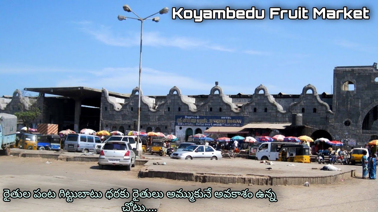 KOYAMBEDU FRUIT MARKET ALL KINDS OF SEASONAL FRUITS buyers from farmers ...