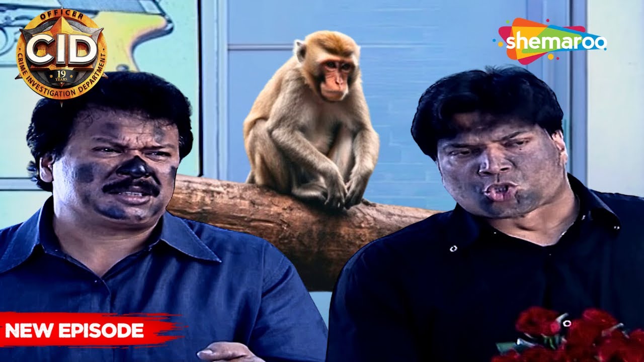 जब Daya और Freddy को इस बंदर ने किया मुंह काला | CID | Tv Serial Latest ...