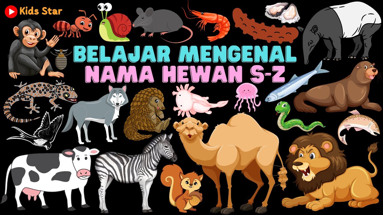 BELAJAR TEBAK NAMA BINATANG HEWAN S-Z BAHASA INDONESIA BAHASA INGGRIS ...