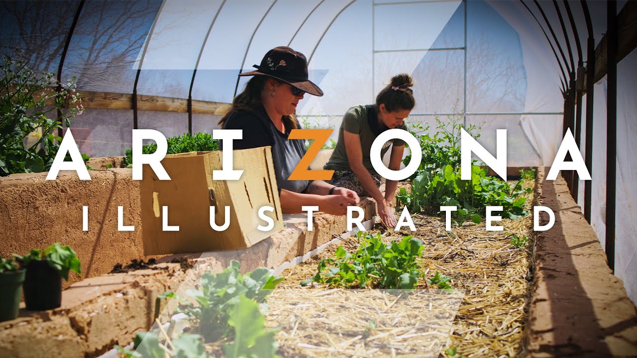 Arizona Illustrated 1105: Permaculture, Water, Democracy & Crafts - YouTube