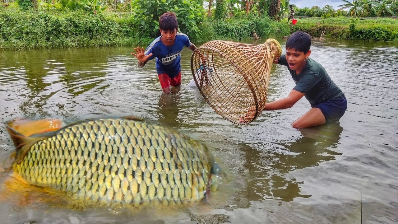 See the unbelievable cast polo fishing Big catch fish by smh fishing bd ...
