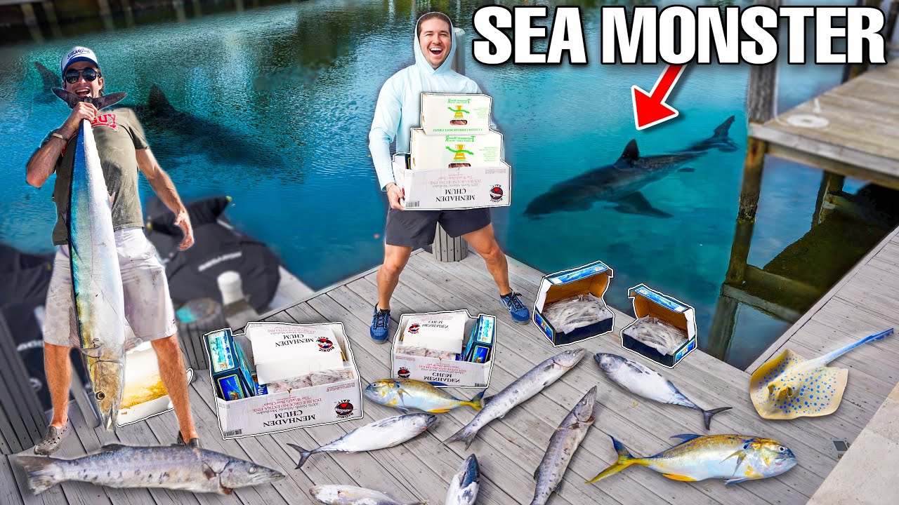 Finding Aquarium SEA MONSTERS Using 1,000 LBS Of DEAD FISH! - YouTube