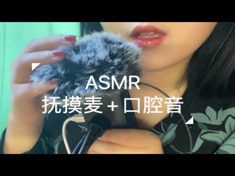 【77 ASMR】秒睡的抚摸麦克风～令人舒服的口腔音～轻语～双声道