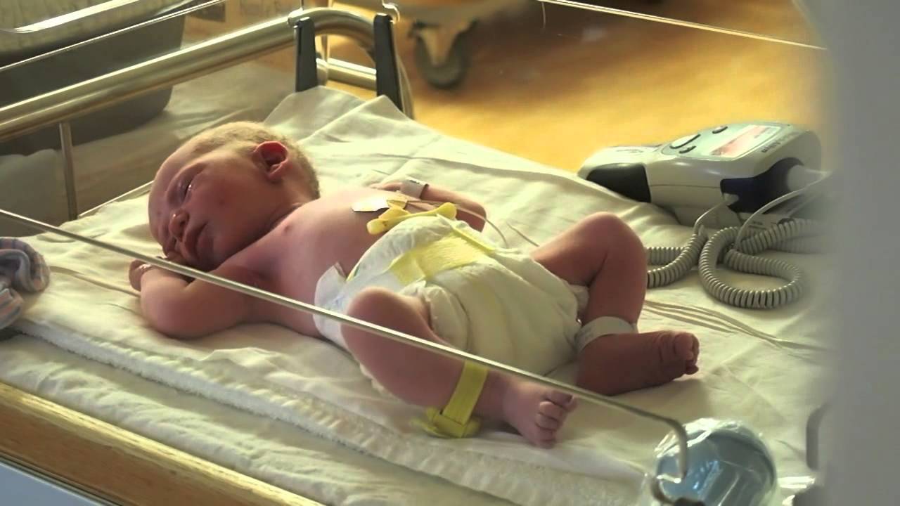 Daniel Jason Ainsley Birthday - YouTube