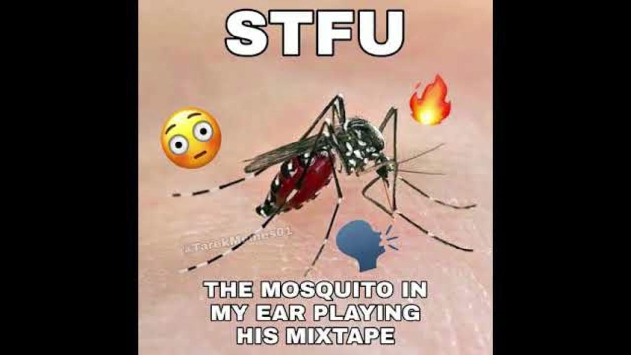 645AR - 4 DA TRAP (Acapella / Vocal Track) - YouTube