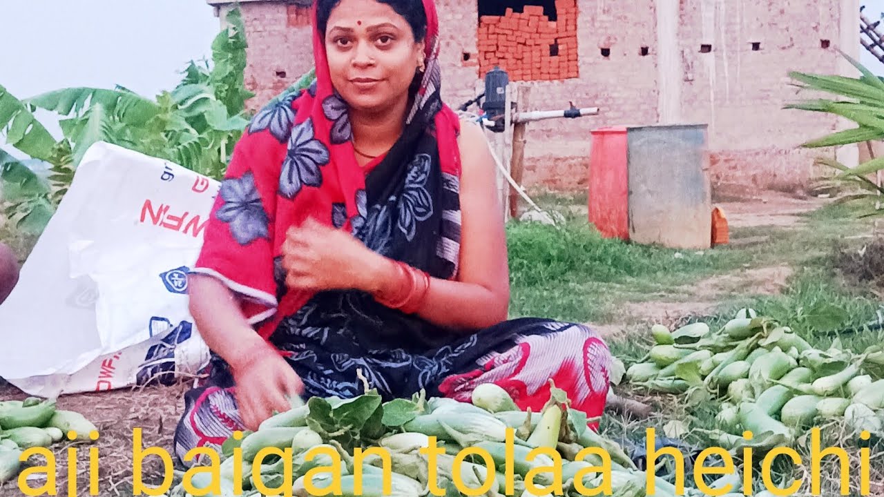 Aji farm ru baigan tolaa heichi - YouTube