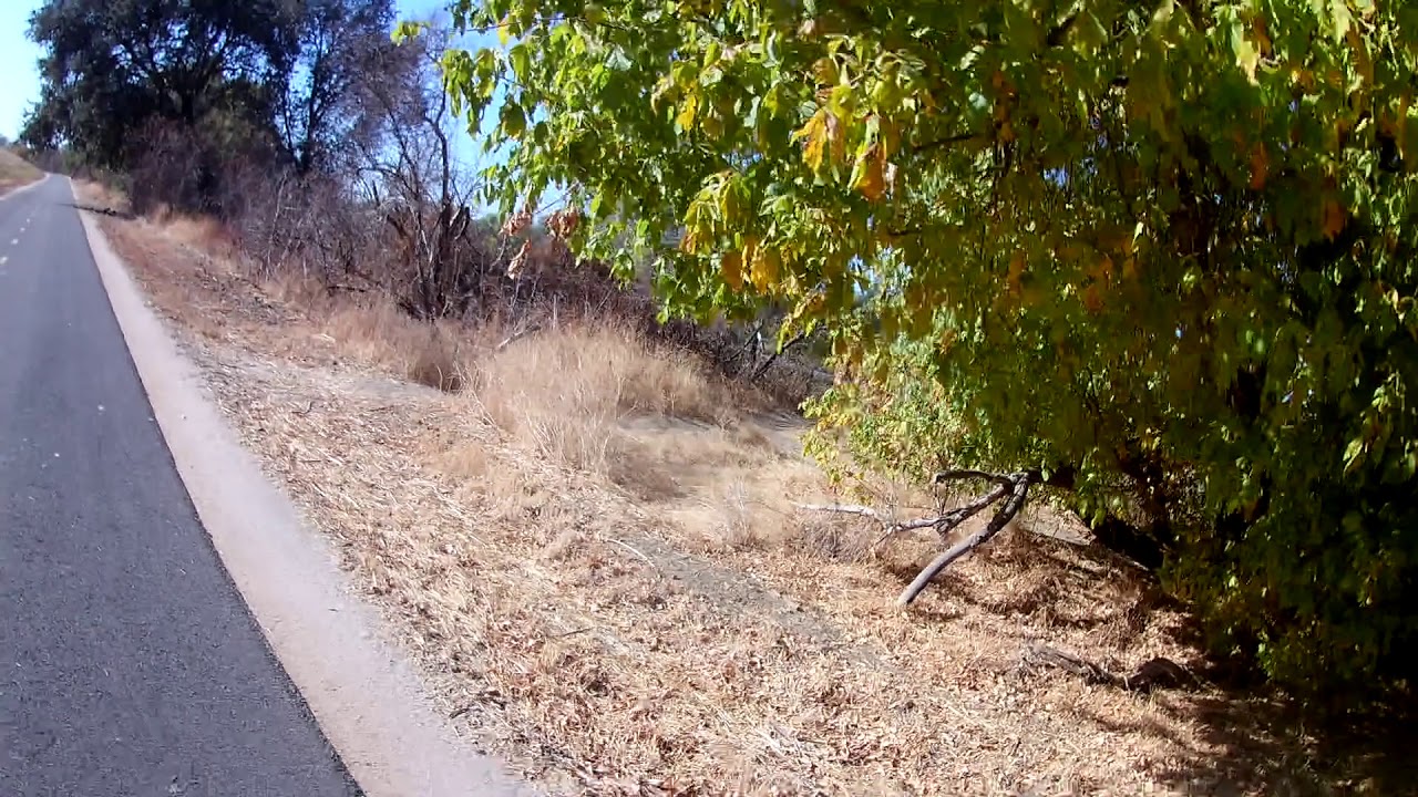Cycling Tour Paradise Beach, Sutter's Landing Park to Grant Park Via ...