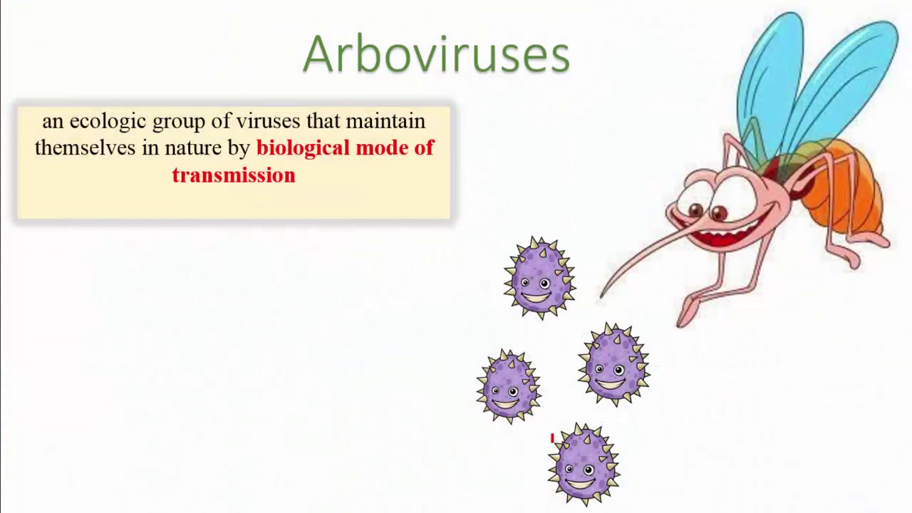 Arboviruses - YouTube