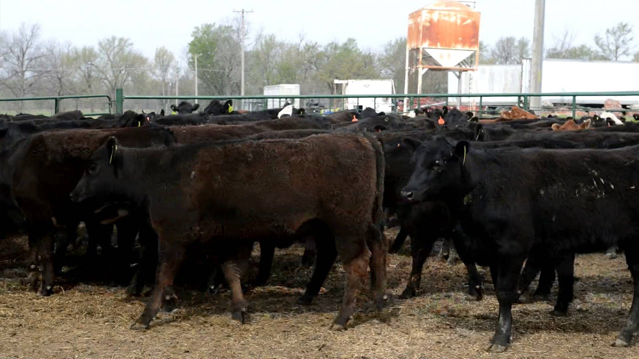 Waco Ranch - YouTube