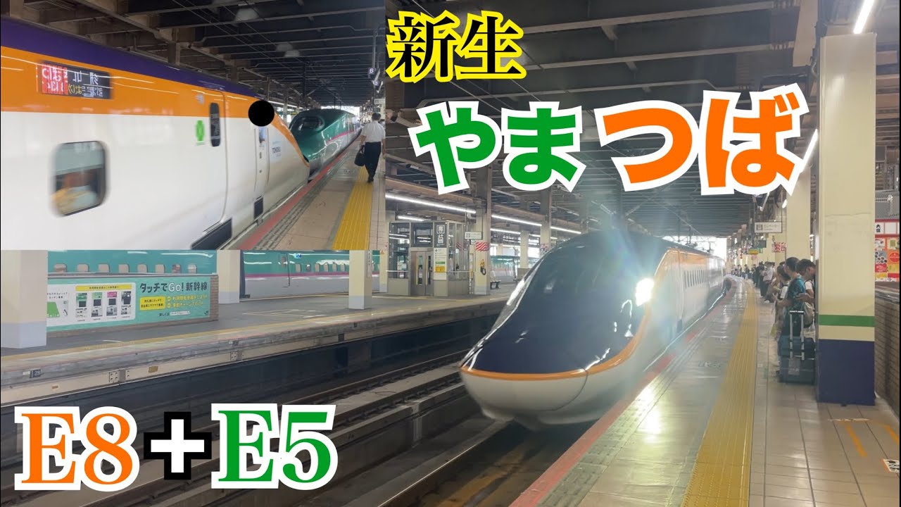 東北新幹線 E8系 つばさ143号 山形ゆき+E5系 やまびこ143号 仙台ゆき到着→発車@大宮 - YouTube