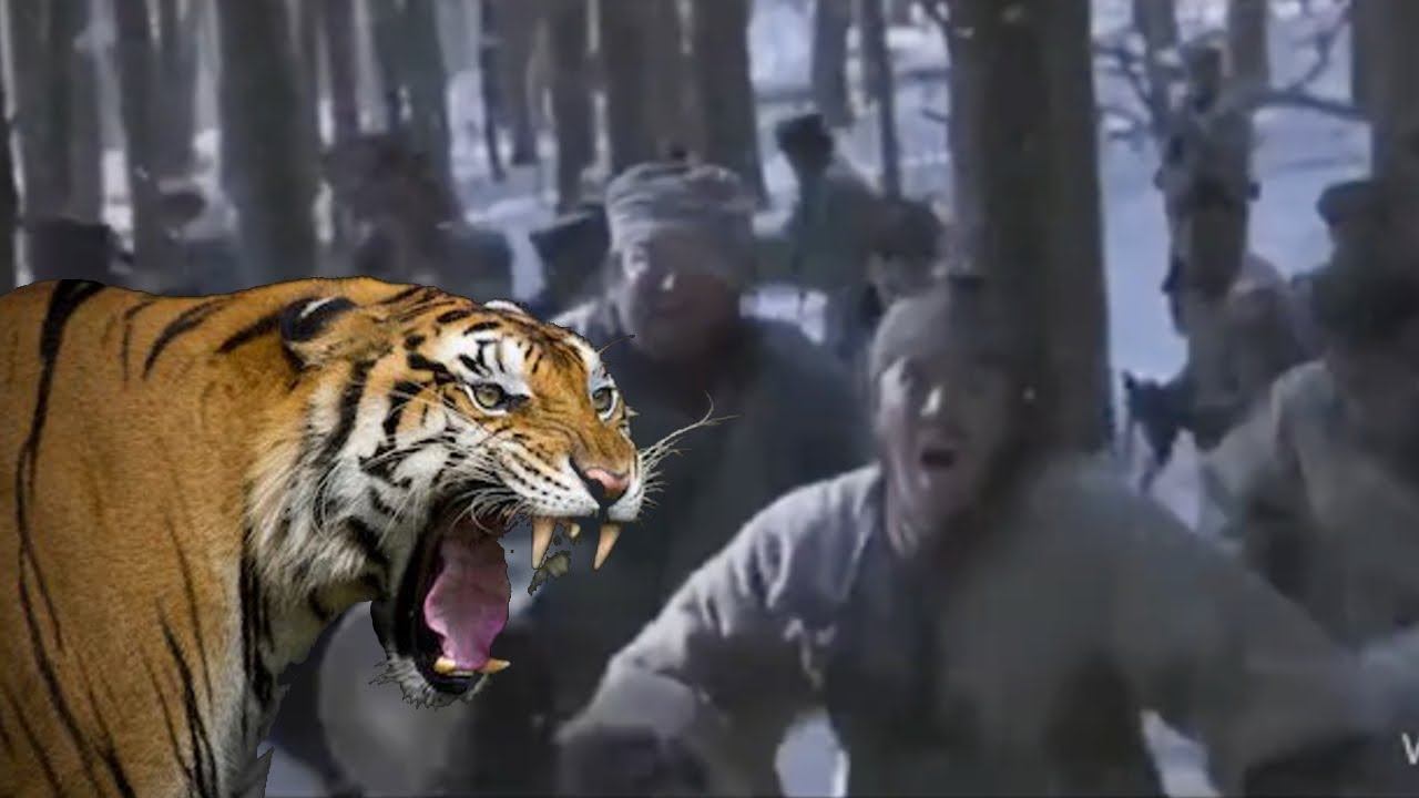 Tiger Roar Scares Away Hundreds of People - YouTube