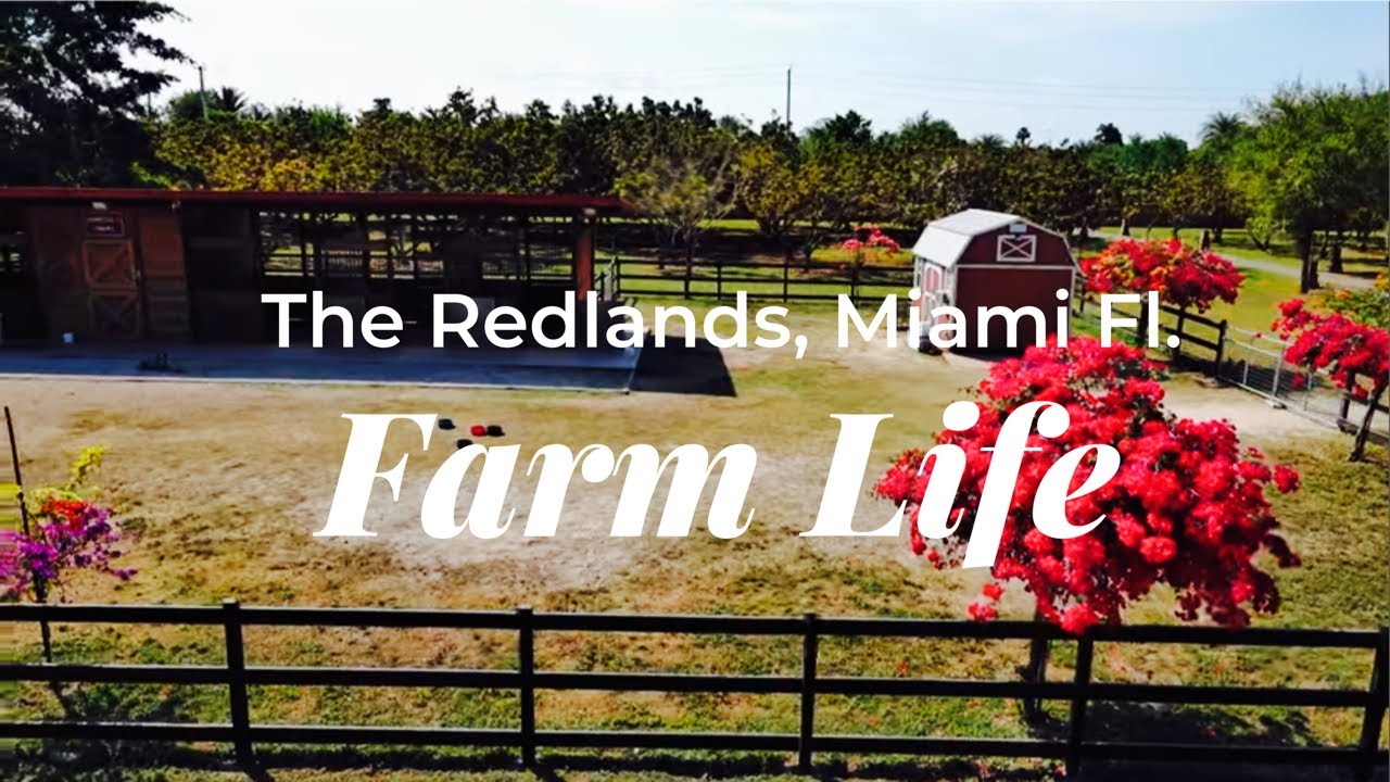 🐴 The Family Farm 🌴🌺 in The Redlands, Florida - YouTube