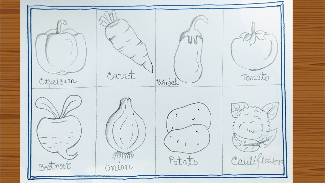 Different types of vegetables drawing easy/How to draw different ...
