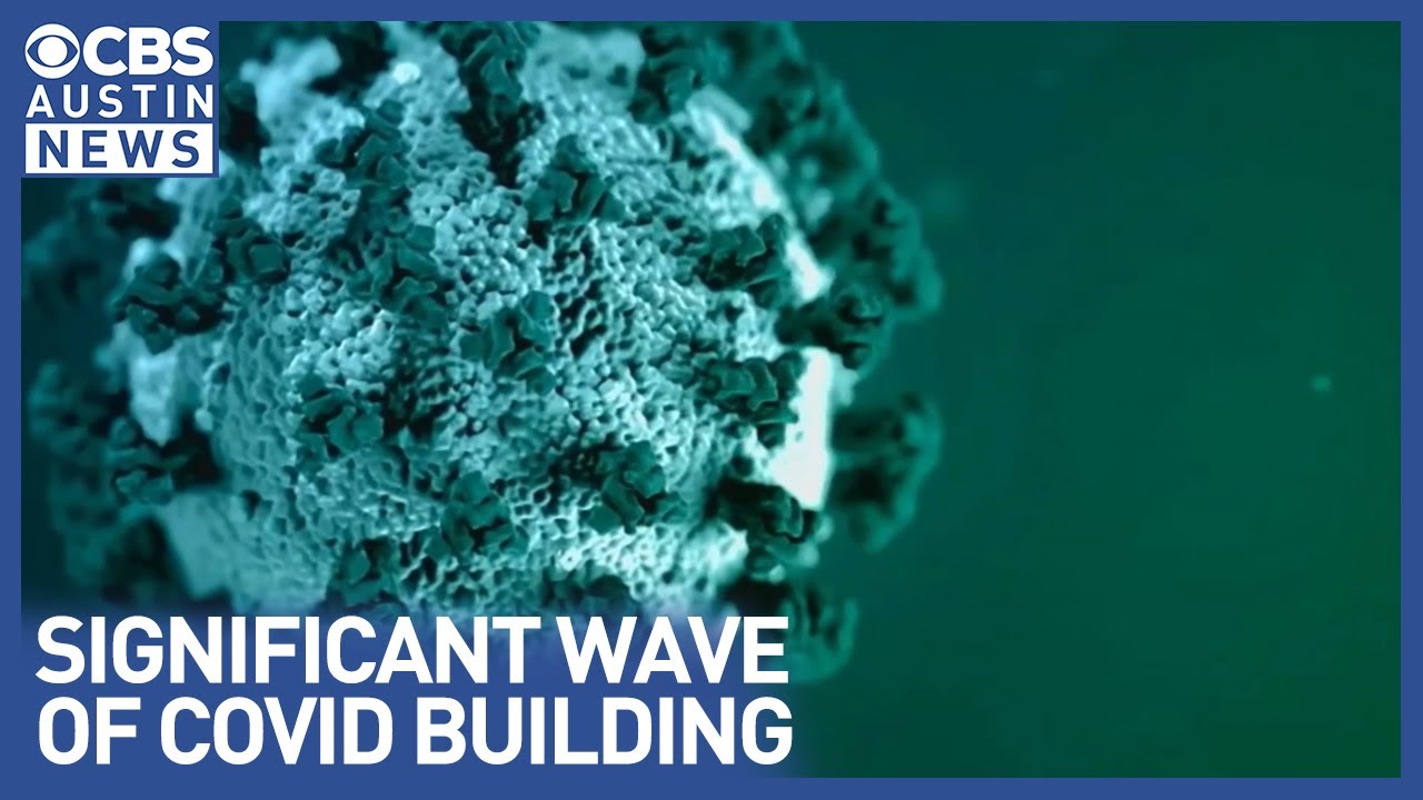 New COVID wave hits Austin with increased hospitalizations - YouTube