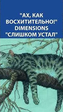 "Ах, как восхитительно!" DIMENSIONS "Слишком устал" - YouTube