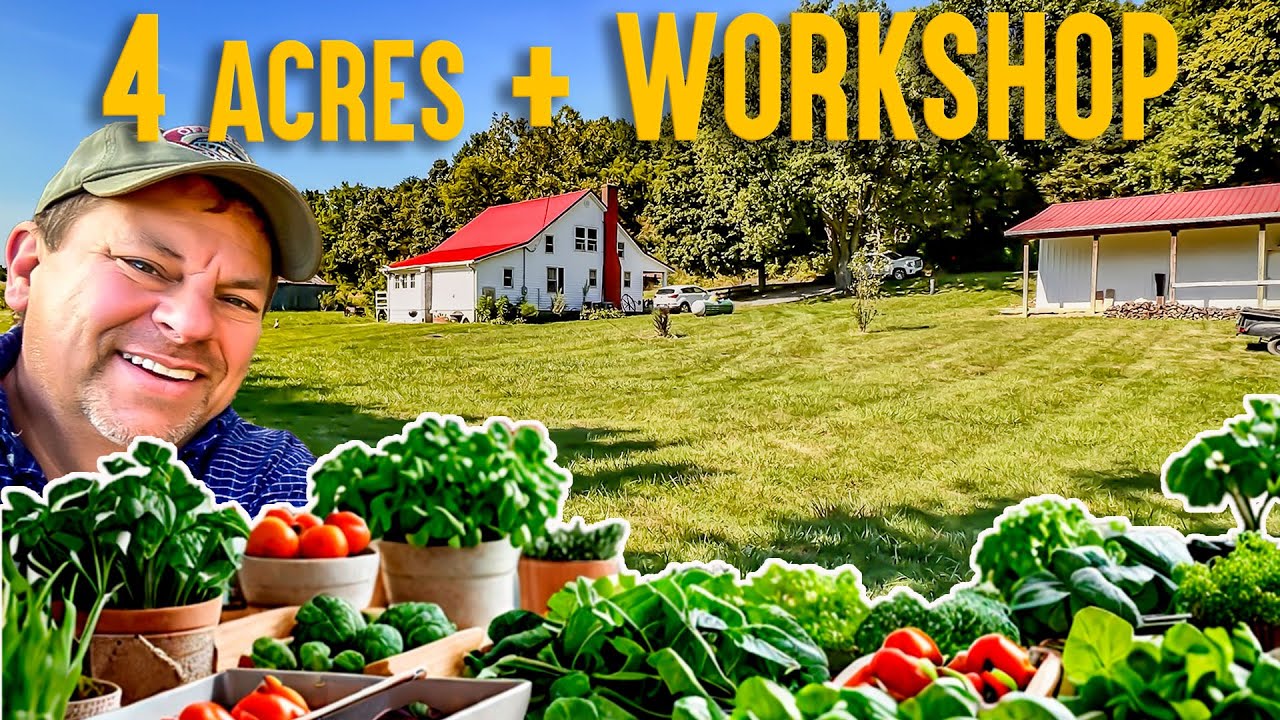 Top 5 Reasons You NEED 4 Acres of Land and a Workshop to Thrive - YouTube