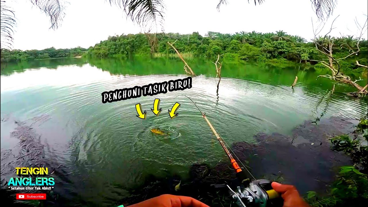 💢 MENCARI STRIKE PENGHUNI TASIK BIRU I spot mancing yang sangat extreme ...