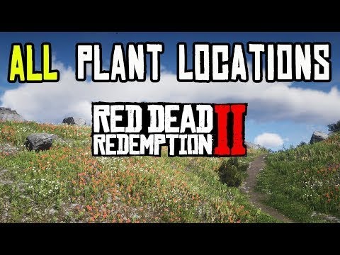 RED DEAD REDEMPTION 2 RDR2 - finding all 43 herbs in one easy route (13 ...