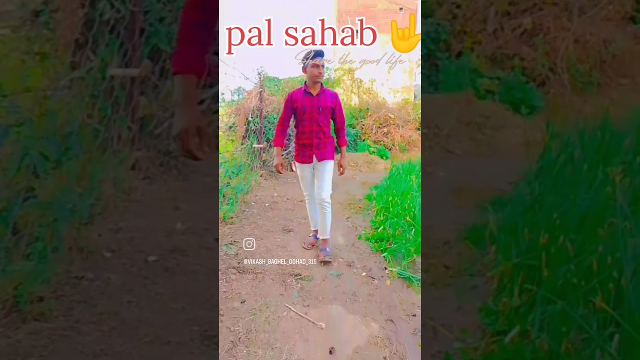 pal sahab #trending #short 🦅🦅🦅🤟🤟 - YouTube