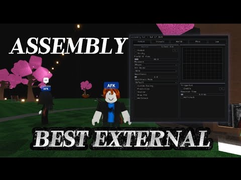Assembly | Best External | Aimbot - YouTube