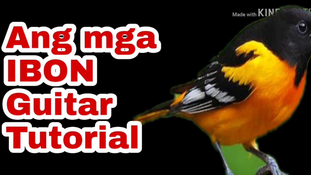 Ang mga ibon - with slow mo part 2 - guitar chords - YouTube