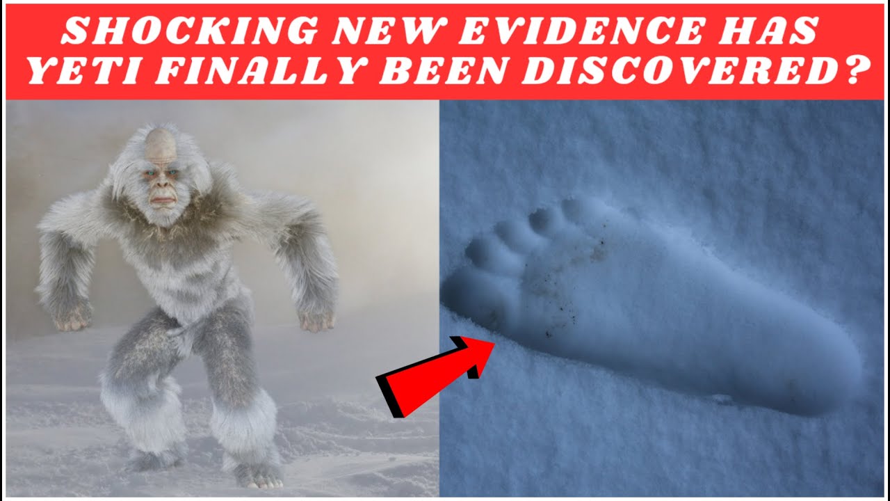 SHOCKING NEW EVIDENCE: Has the Yeti Finally Been Discovered? [HD] - YouTube
