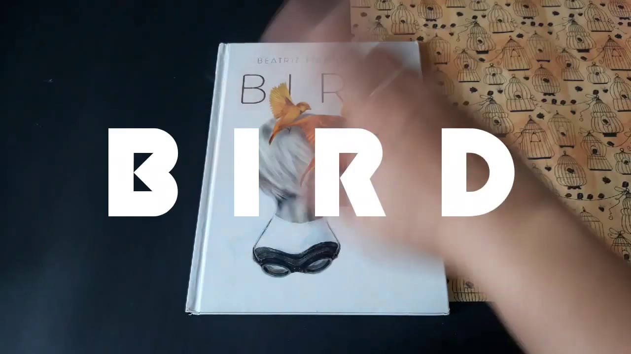 BIRD by Beatriz Martin Vidal - YouTube