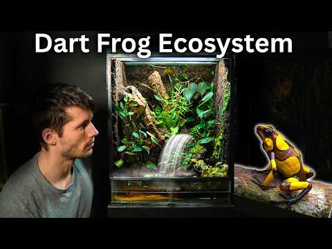 I Made a Terrarium For Dart Frogs With a Working Waterfall, Here's How!