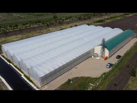 SERA HIDROPONICA PRODUCTIE CAPSUNI PE SUBSTRAT ORGANIC IN JUD. BUZAU ...