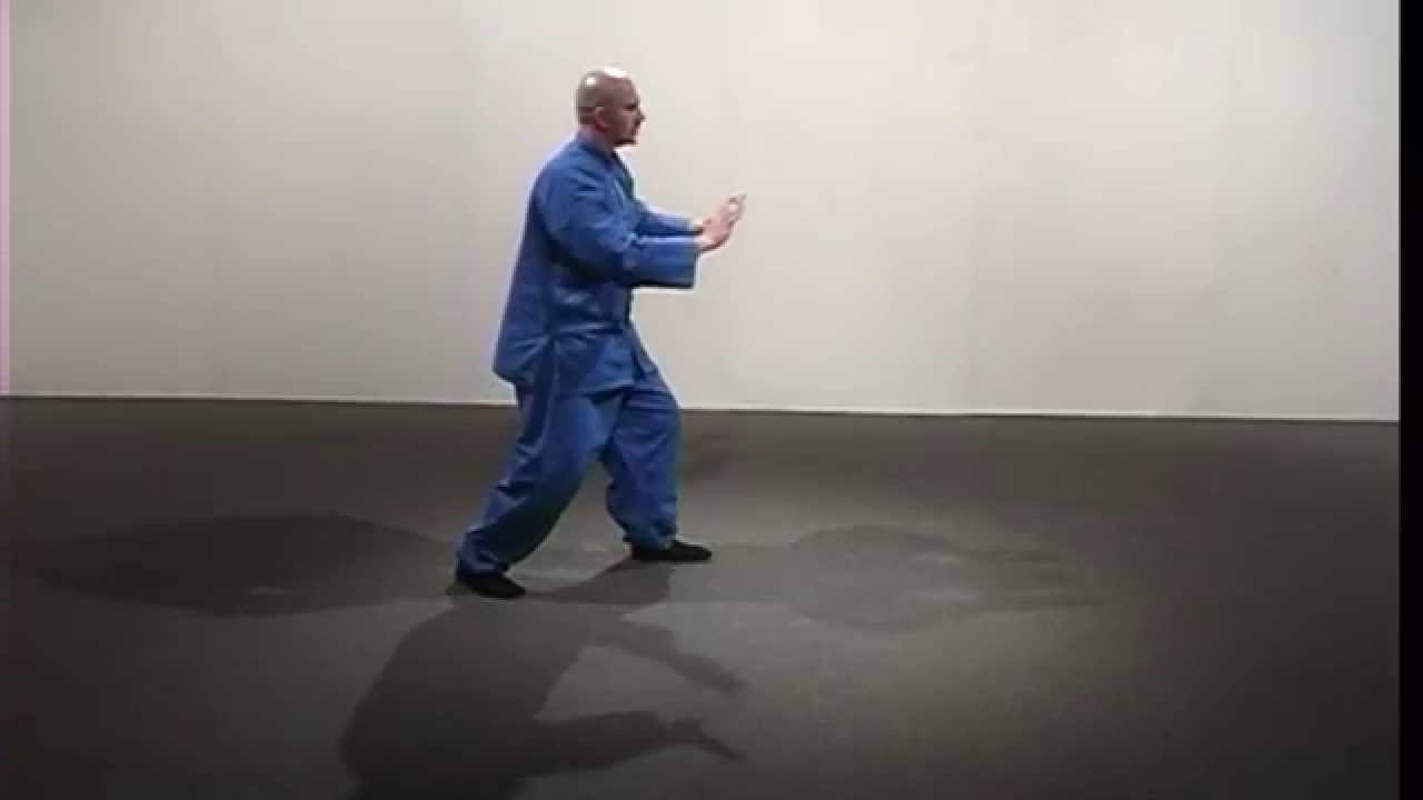 Li Family Simplified Tai Chi Form 1 - 140 (Full Form) - YouTube