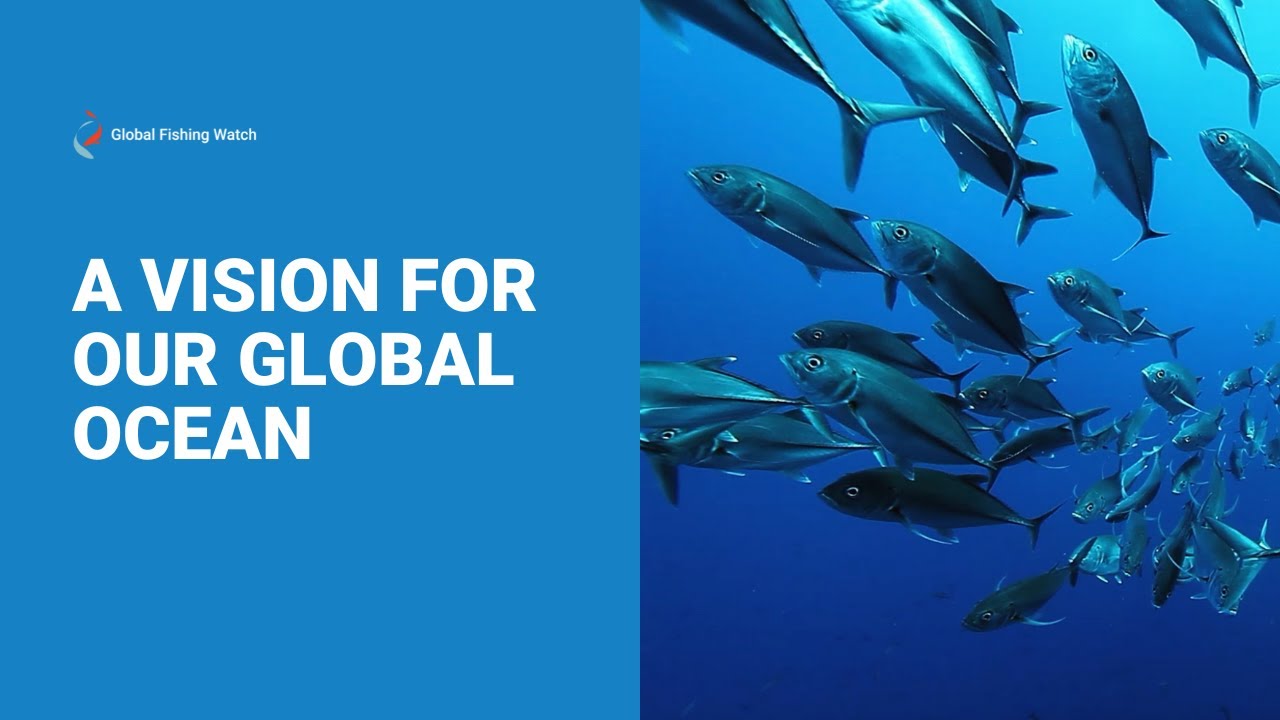 A Vision for Our Global Ocean - YouTube
