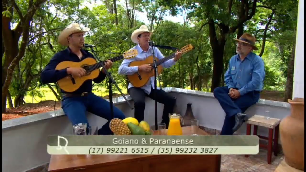 Brasil Caipira : Goiano e Paranaense - YouTube