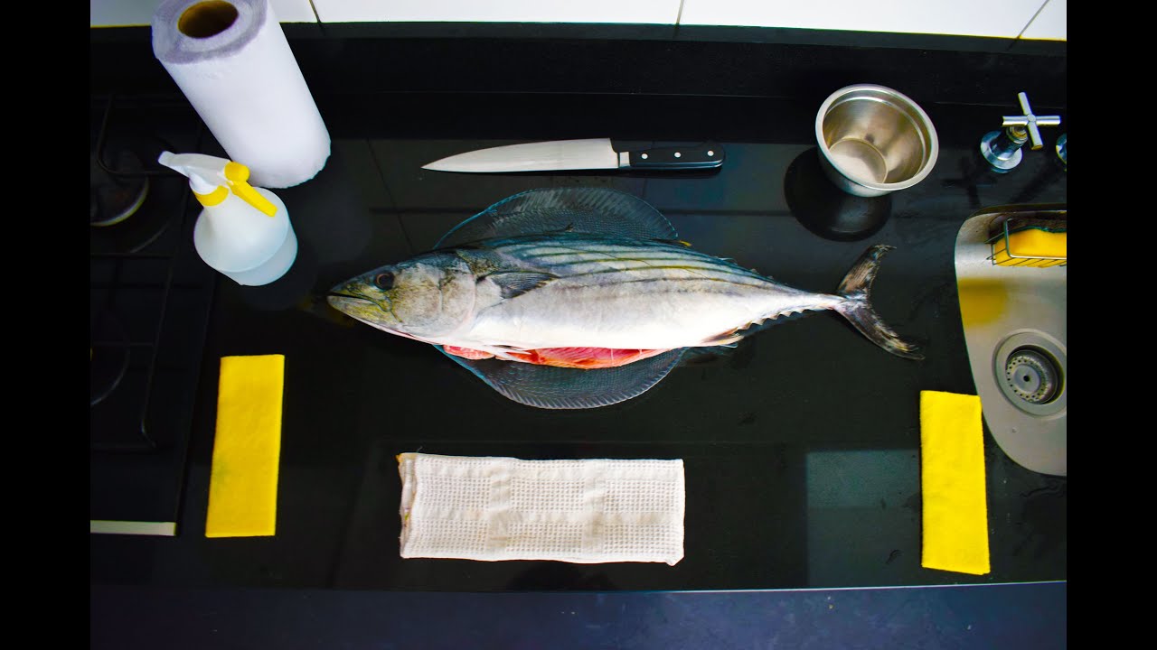 Fileteado de Bonito (Sarda chiliensis) Como filetear pescado? Filleting ...