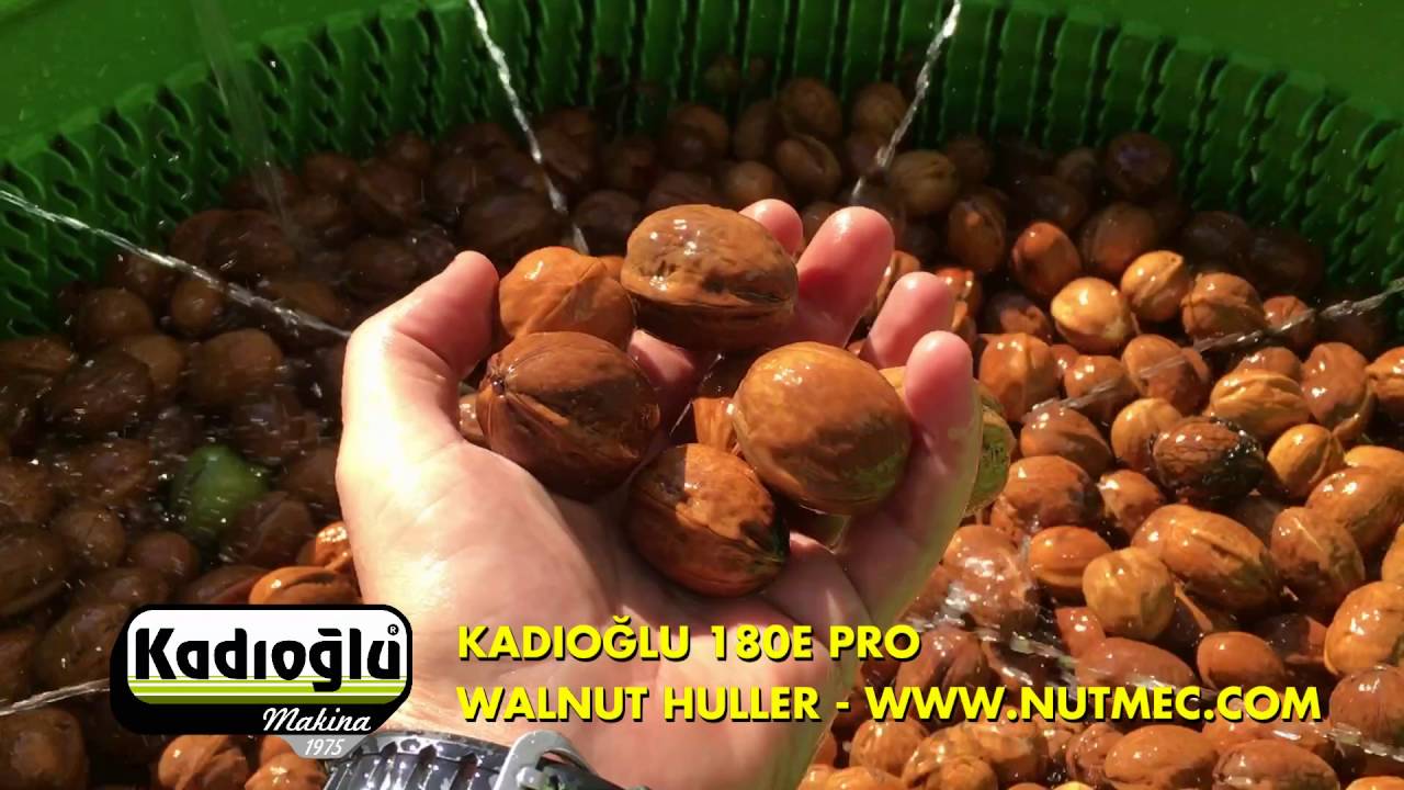 NEW EASY WALNUT HULLER, PEELER, CLEANER MACHINE - YouTube