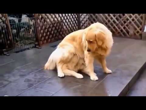 Maraqlı Hadisələr