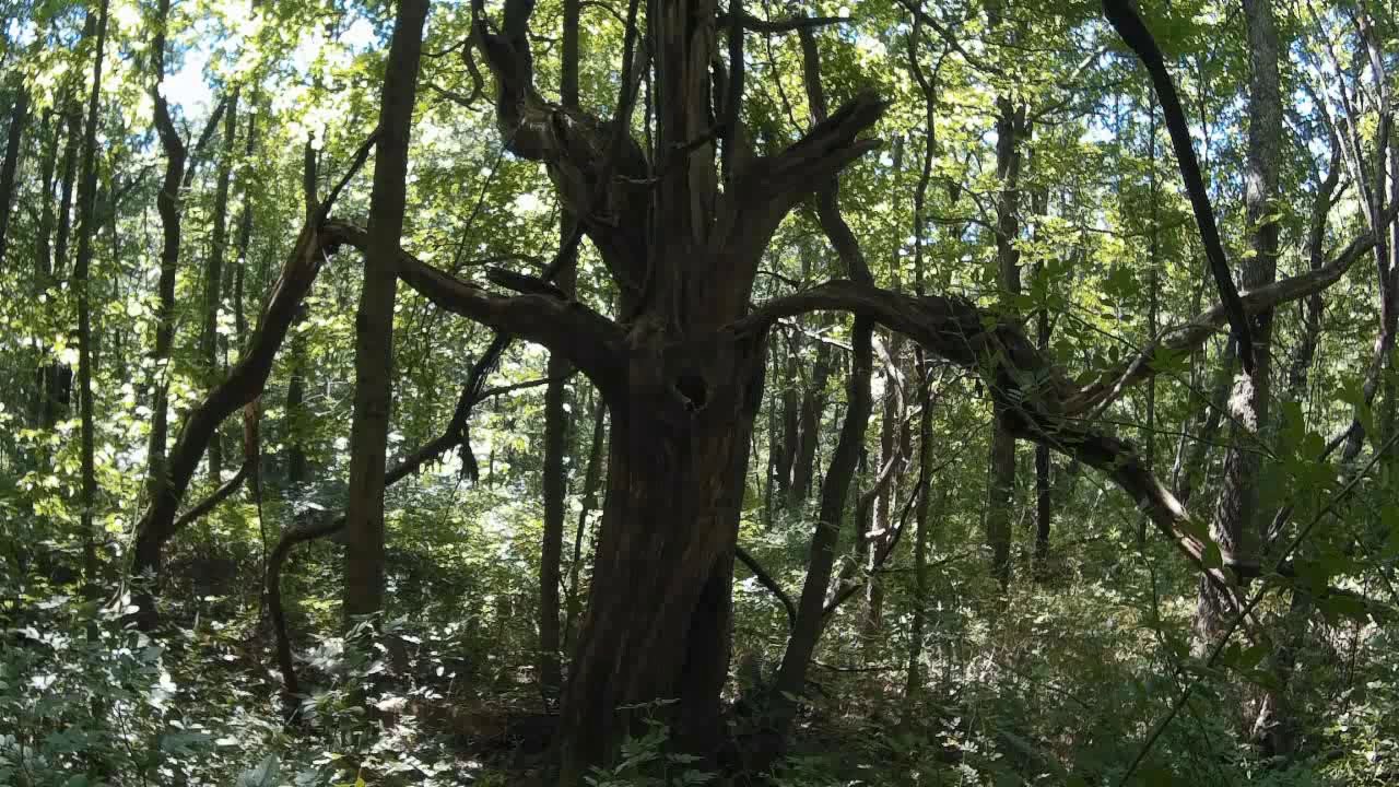 Audio only! Deep, gruff sounding male voice. - YouTube