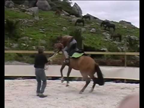 Hugo The problem horse, Part 1 - YouTube