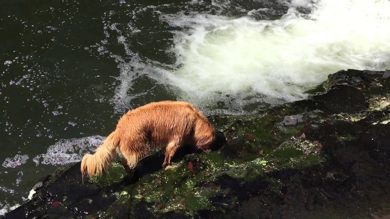 # 10 waterfalls near Old Stone Fort State Park - YouTube
