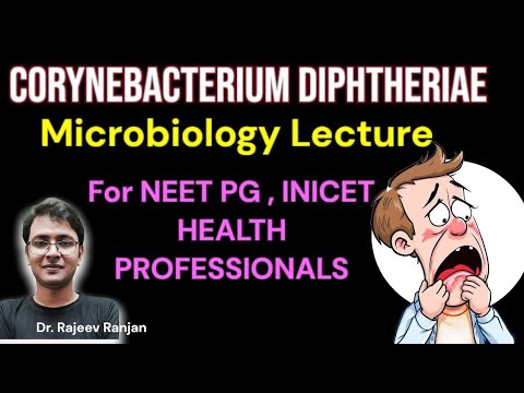 "Microbiology Lecture Series: Corynebacterium Explained (Lecture 1 ...