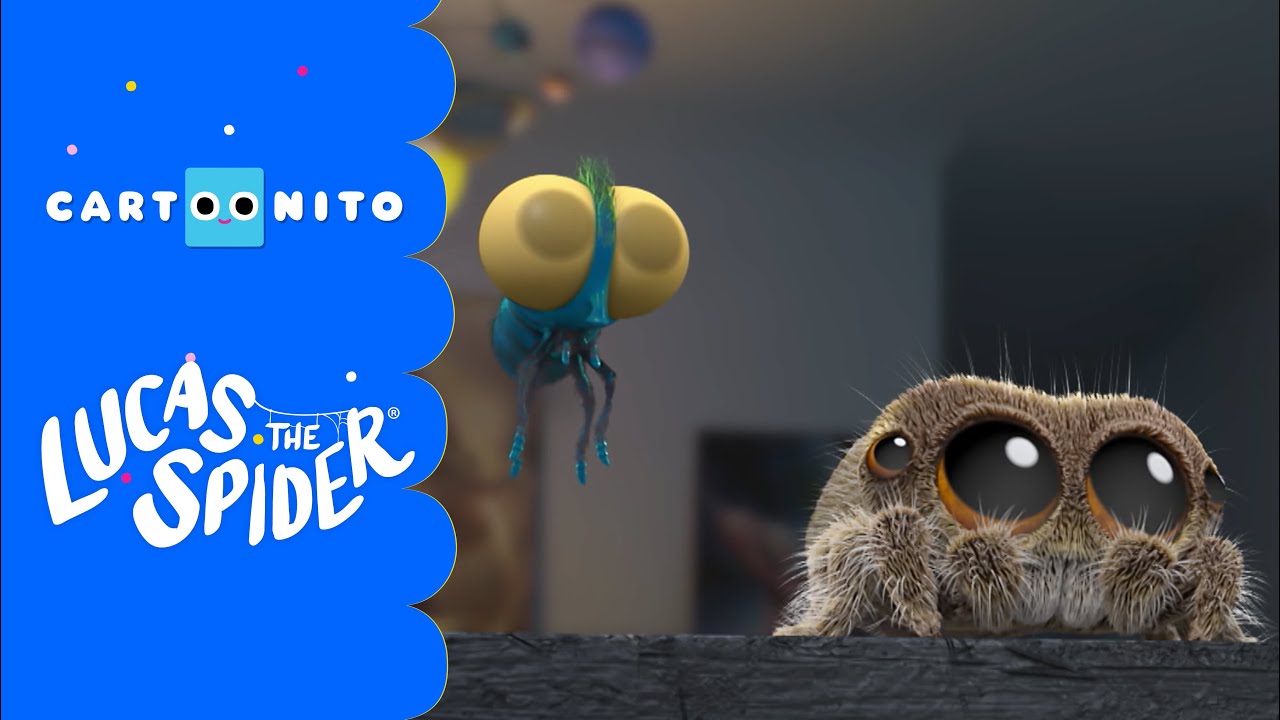 Paint with Lucas | Lucas the Spider | Cartoons for Kids | @cartoonito ...