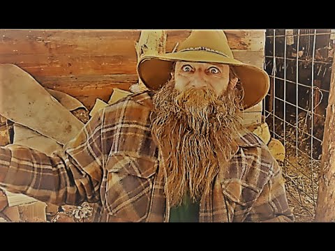 OUT BEHIND THE WOOD SHACK Talking DIFFERENT TYPES of FIREWOOD and ...