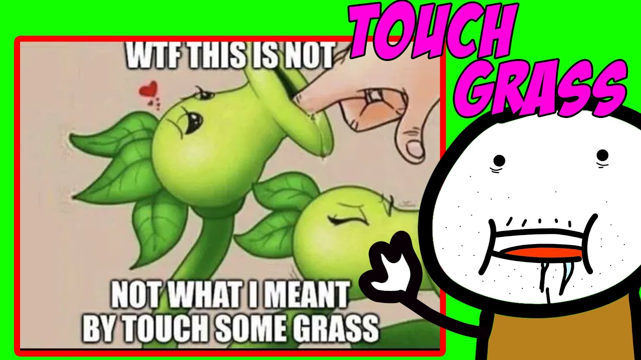 TOUCH GRASS - meme - YouTube