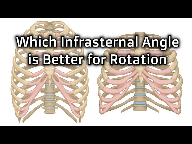 Infrasternal Angle