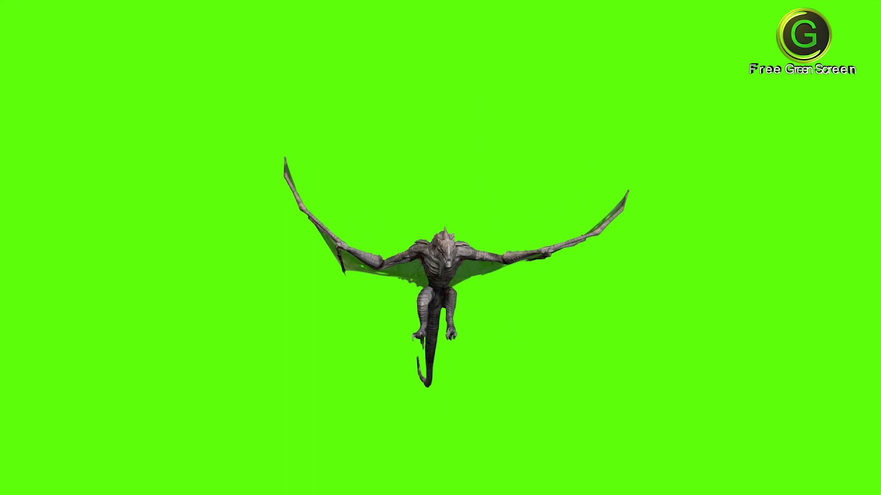 Dragon Green Screen HD - YouTube
