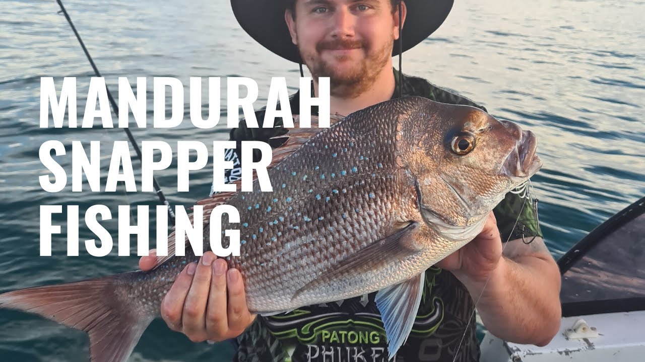 Pink snapper fishing mandurah james service - YouTube