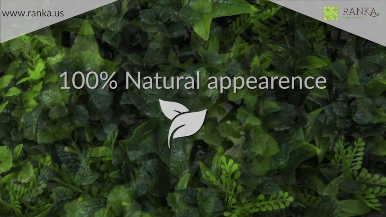 Ranka Mixed Foliage - YouTube